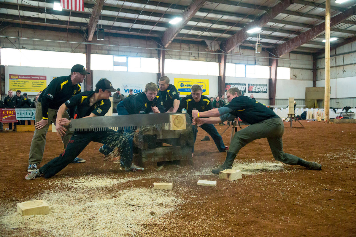 5 hacks to make the most of the Woodsmen Competition | Dal Student Life ...