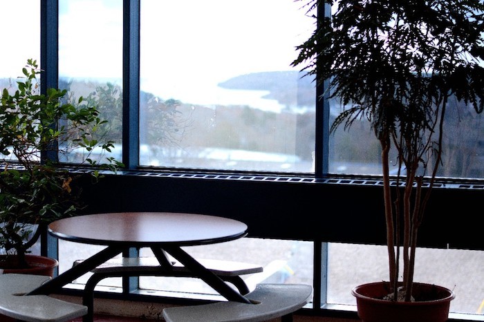 Our favourite places to study around Dal | Dal Student Life | Dalhousie ...