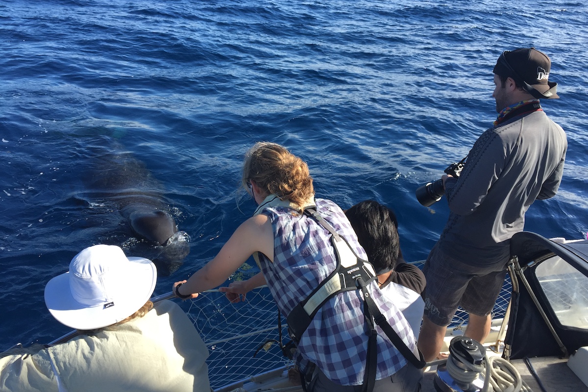 How to overcome 4 big challenges of graduate fieldwork | Dal Student ...