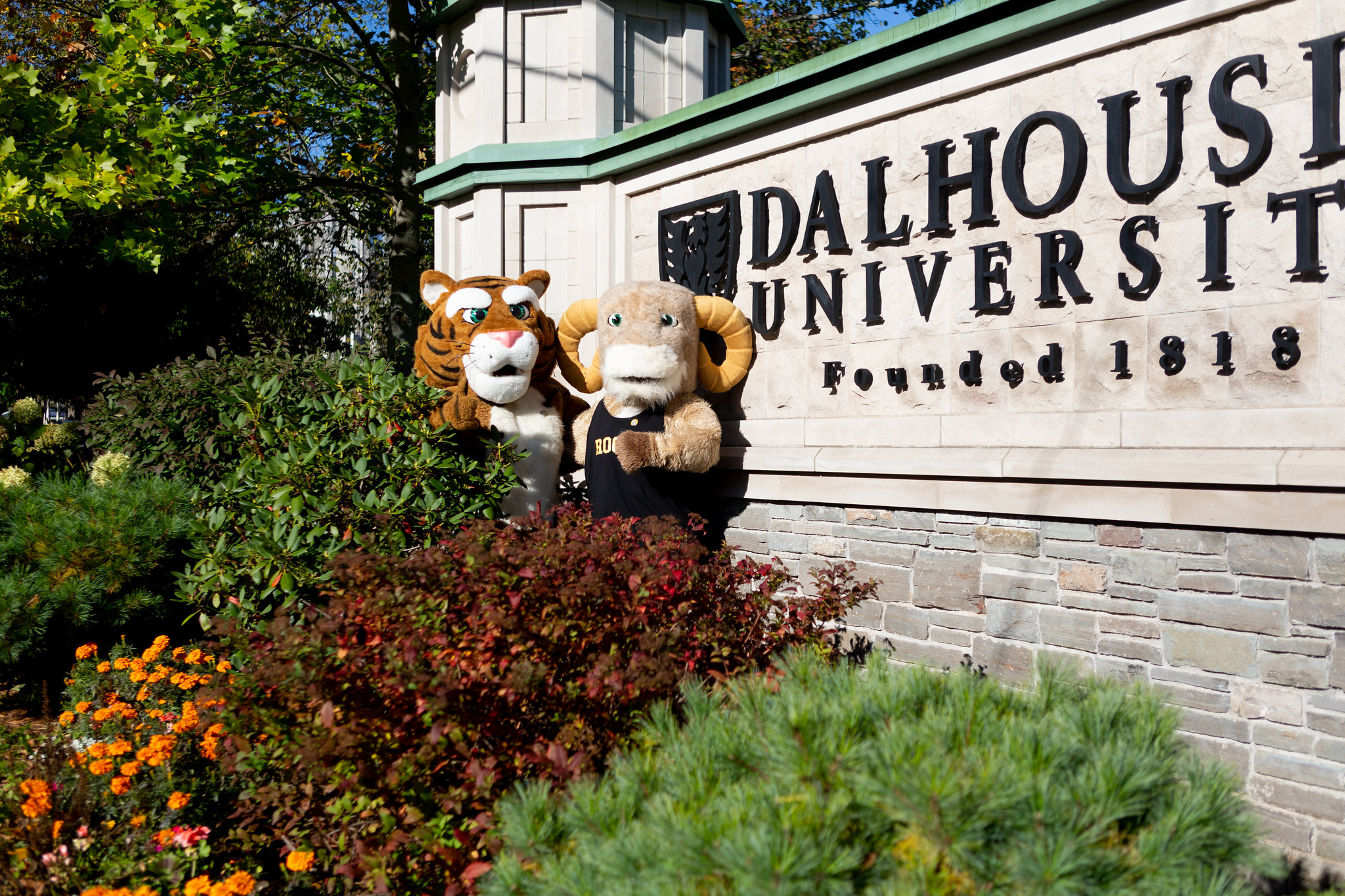 welcome virtual background