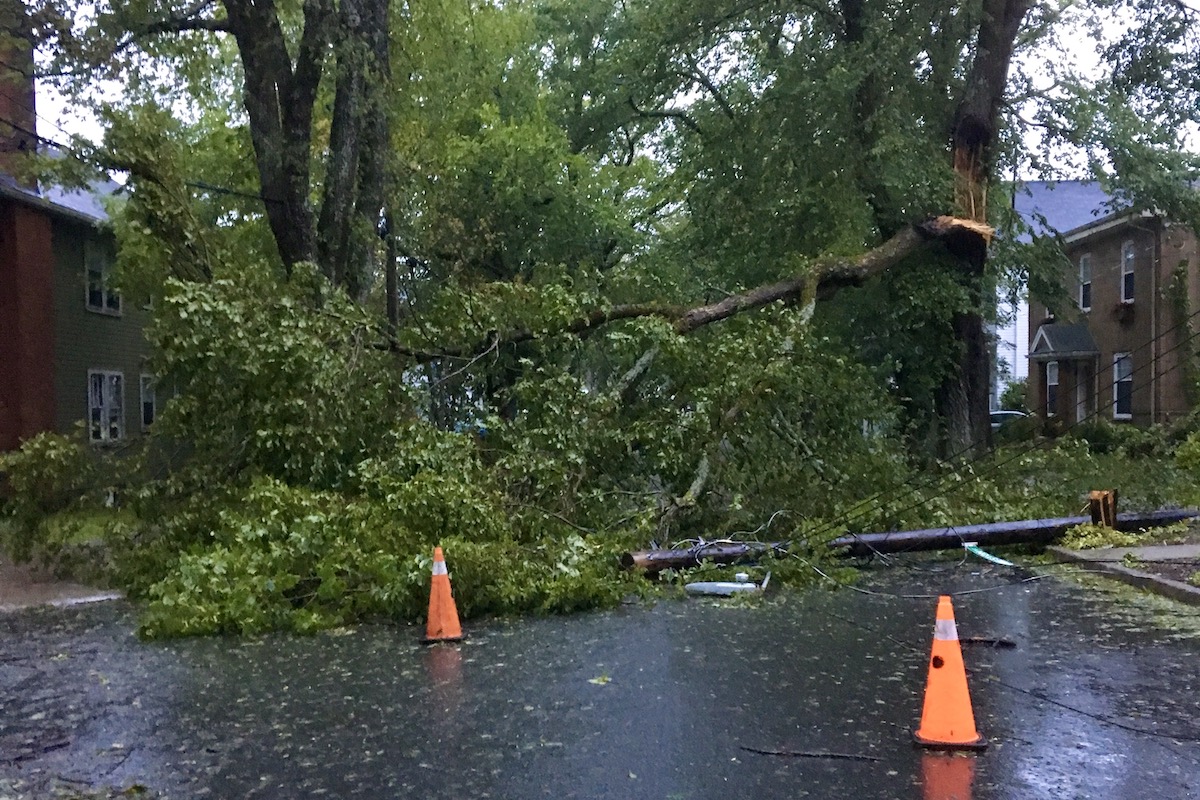 Foods to keep on hand for Nova Scotia storms | Dal Student Life ...